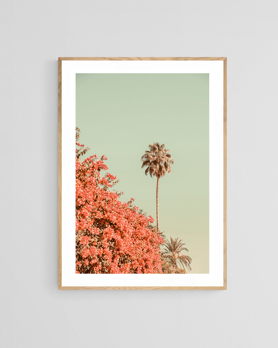 Fine Art Photograph Of Distant Palm Trees Under A Clear Blue Sky ...