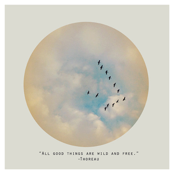 All Good Things (Circle) - Fine Art Photograph – Alicia Bock Print Shop