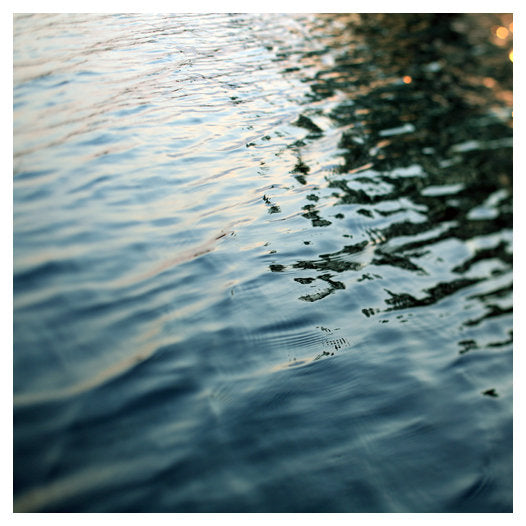 Fine art nature photograph by Alicia Bock. Photographed in Michigan ...