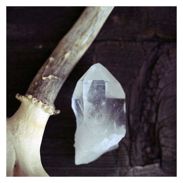 Ice and Bone - Fine Art Photograph – Alicia Bock Print Shop