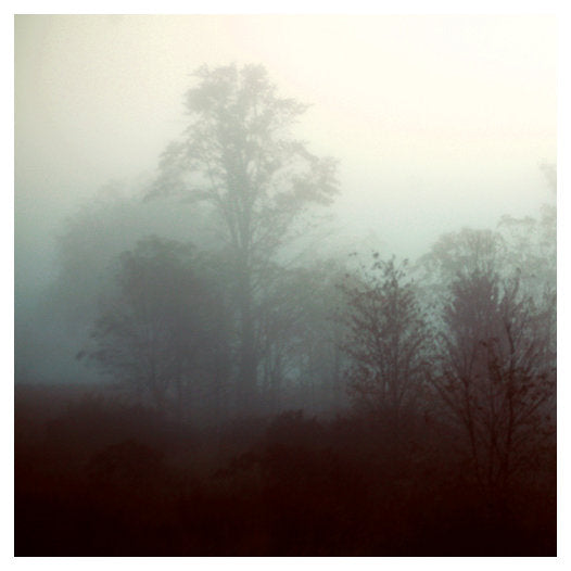 Fog: Steel - Fine Art Photograph – Alicia Bock Print Shop