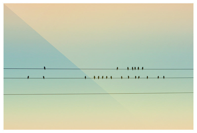 Cool World #4 - Fine Art Photograph – Alicia Bock Print Shop