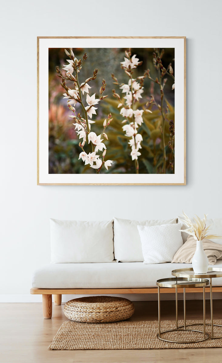 Yucca plant flowers photographic print by Alicia Bock. – Alicia Bock ...