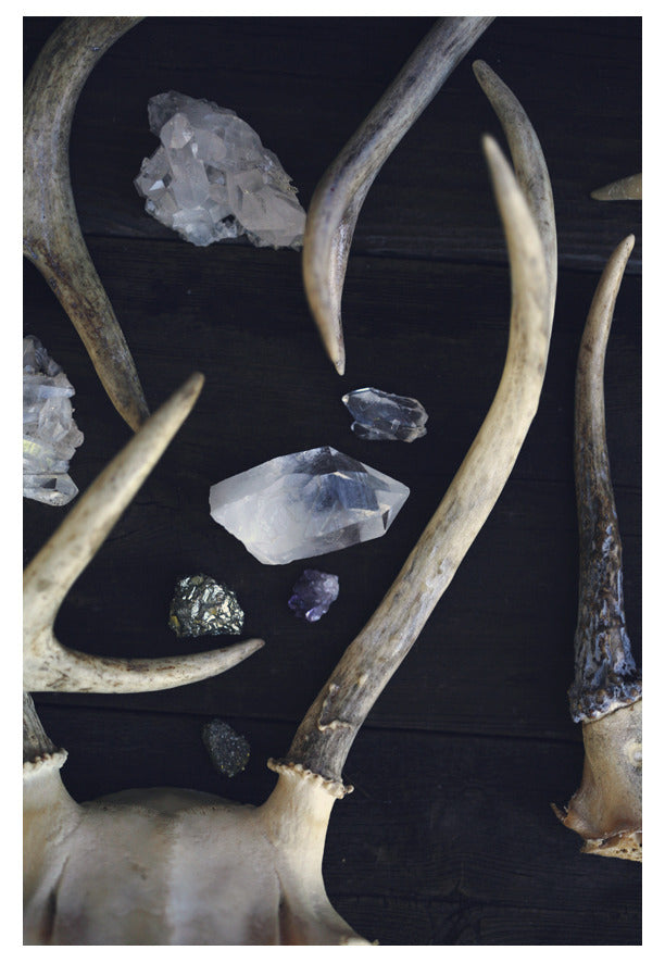 Stag and Stone - Fine Art Photograph – Alicia Bock Print Shop